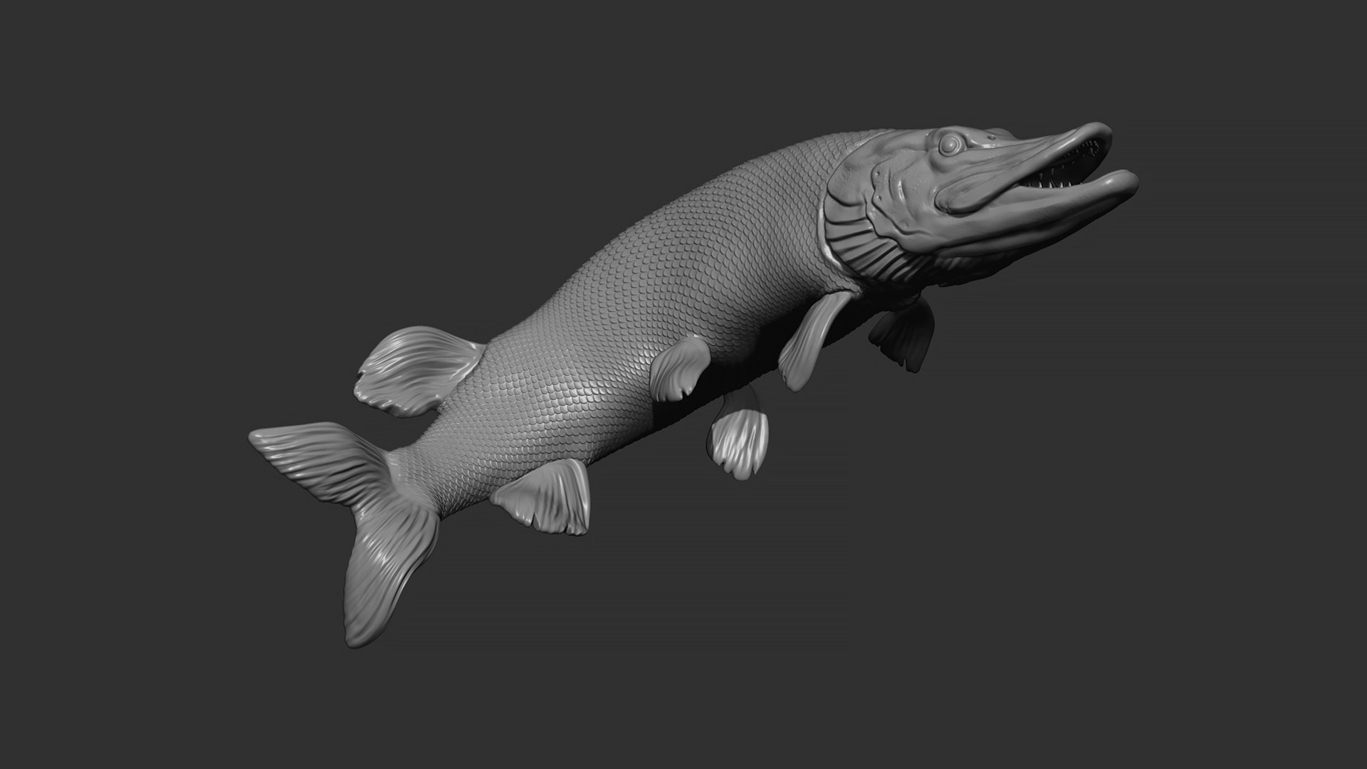 Pike fish 3D model - TurboSquid 1916182