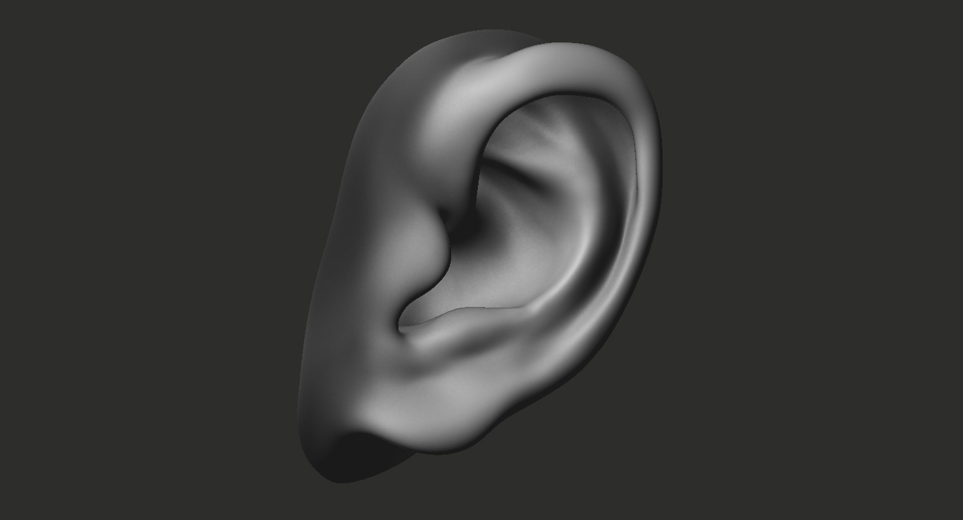 3D Ear Realistic Perfect - TurboSquid 1313274