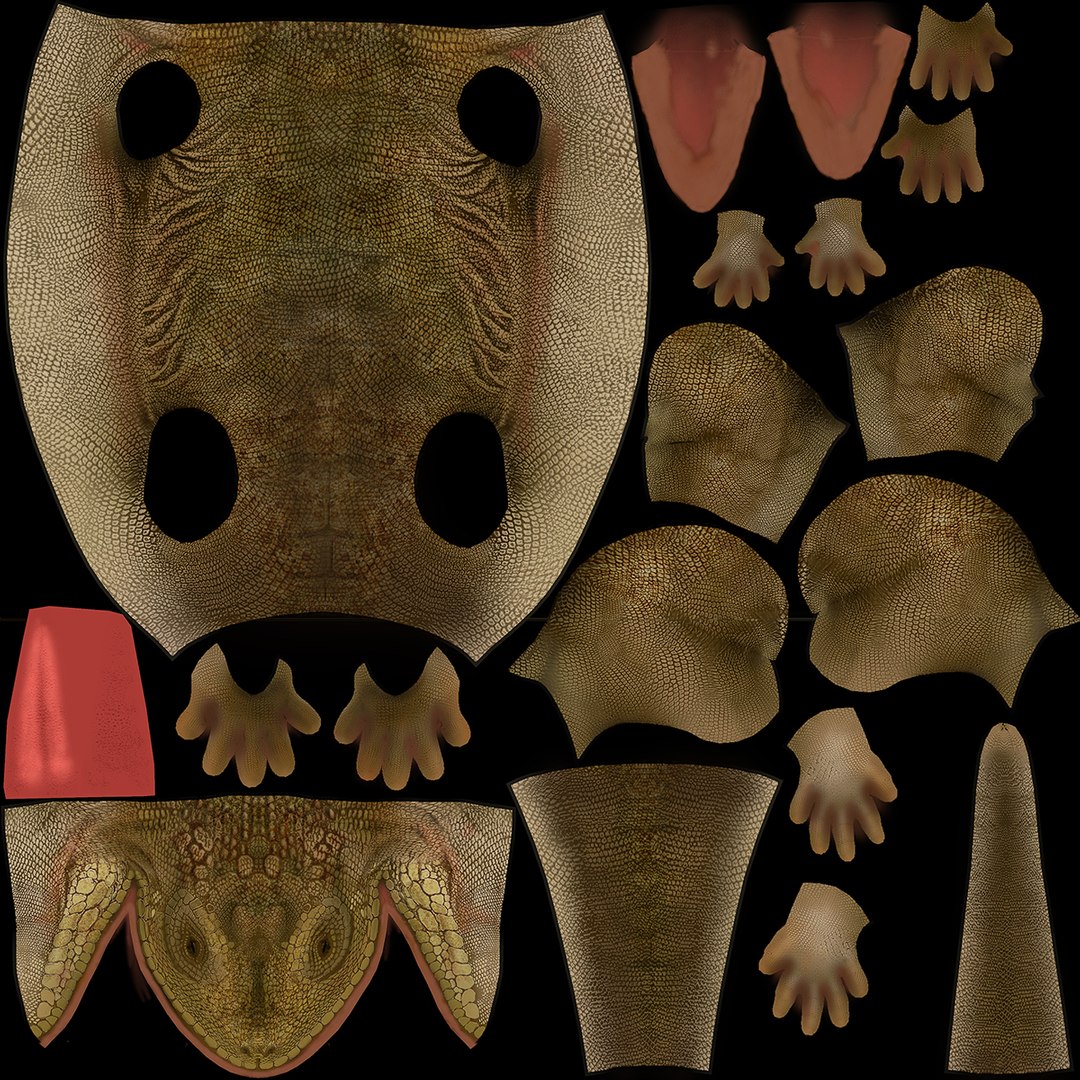 3d lizard rigged model