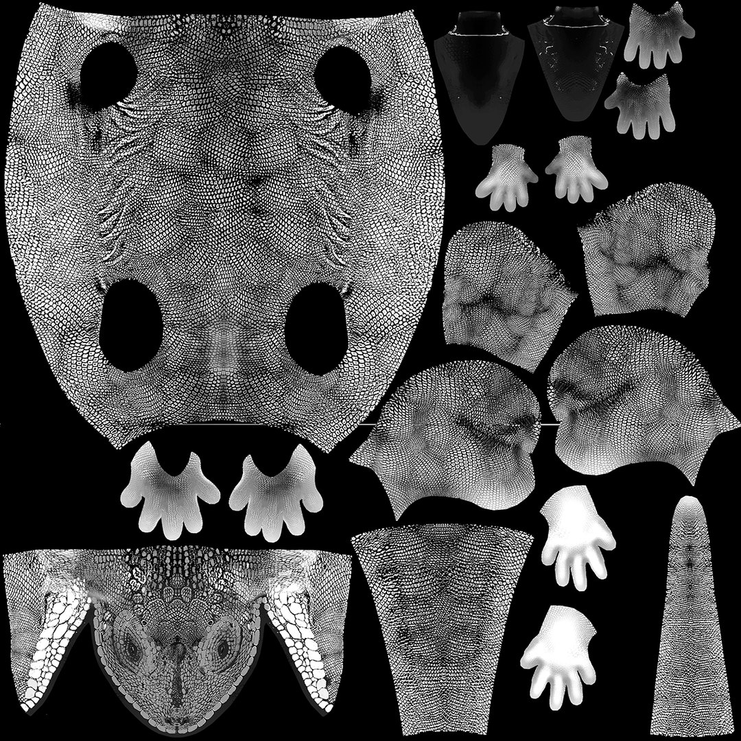 3d lizard rigged model