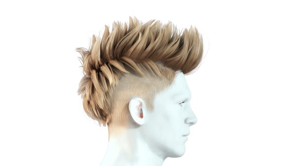 3D Realistic Hair hawk cyberpunk model - TurboSquid 2030349