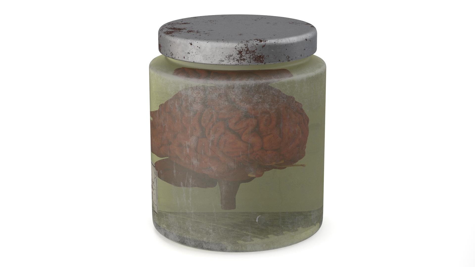 3D Human Brain In Old Glass Jar Model - TurboSquid 2259012