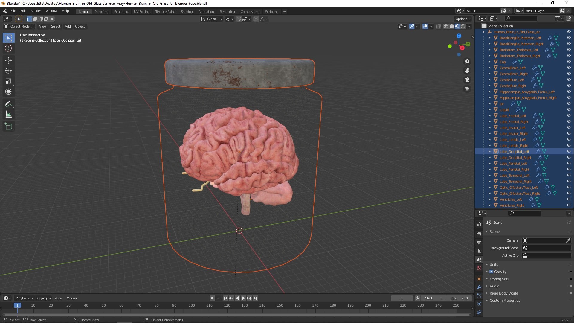 3D Human Brain In Old Glass Jar Model - TurboSquid 2259012
