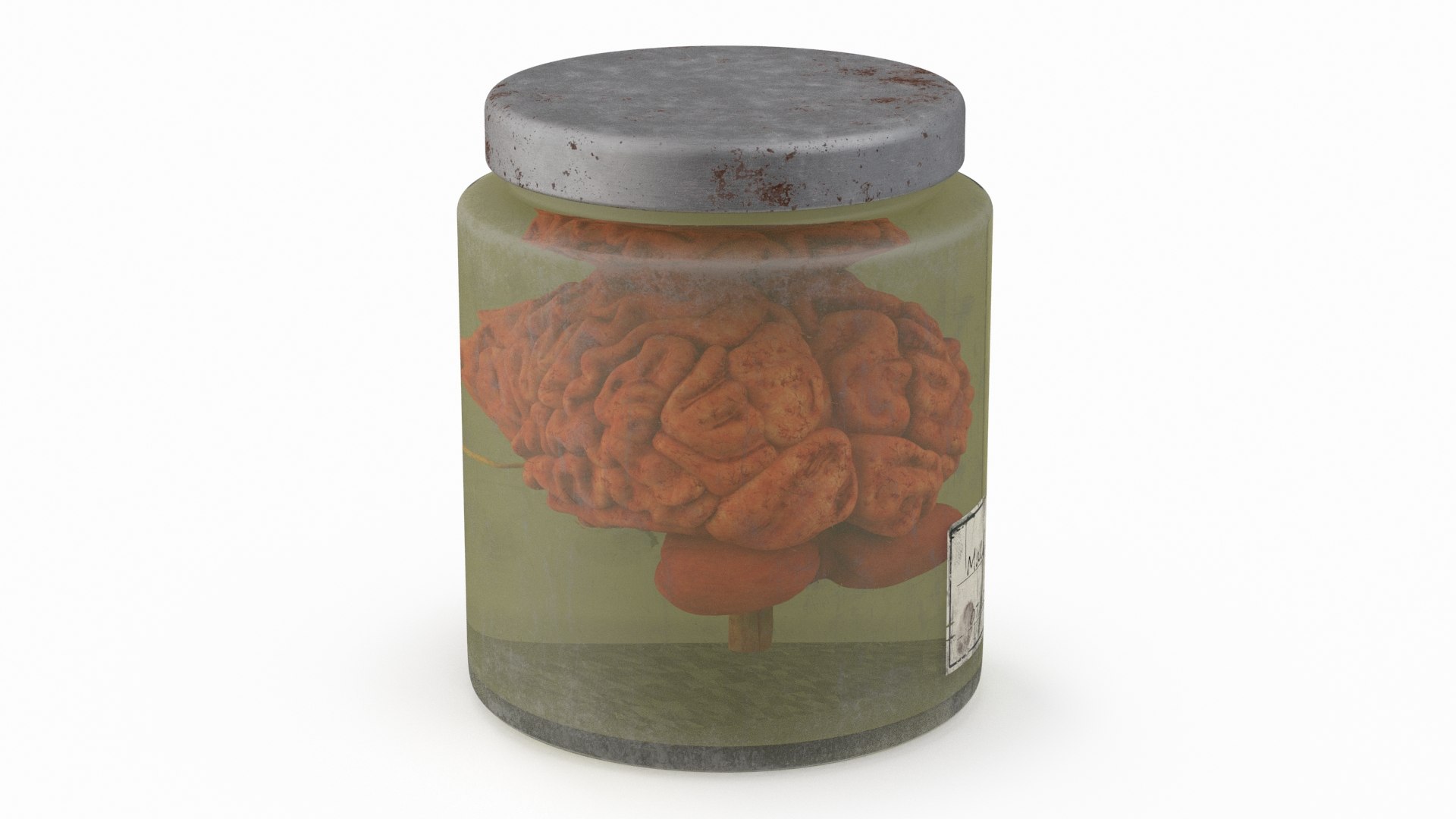 3D Human Brain In Old Glass Jar Model - TurboSquid 2259012