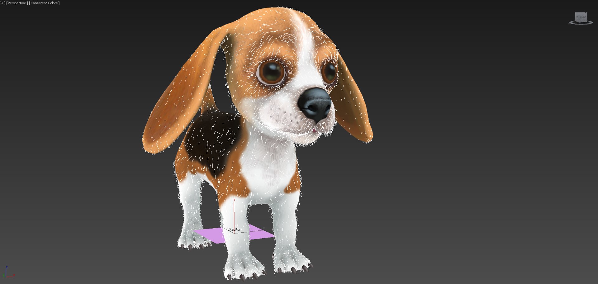 dog puppy rigging animation max