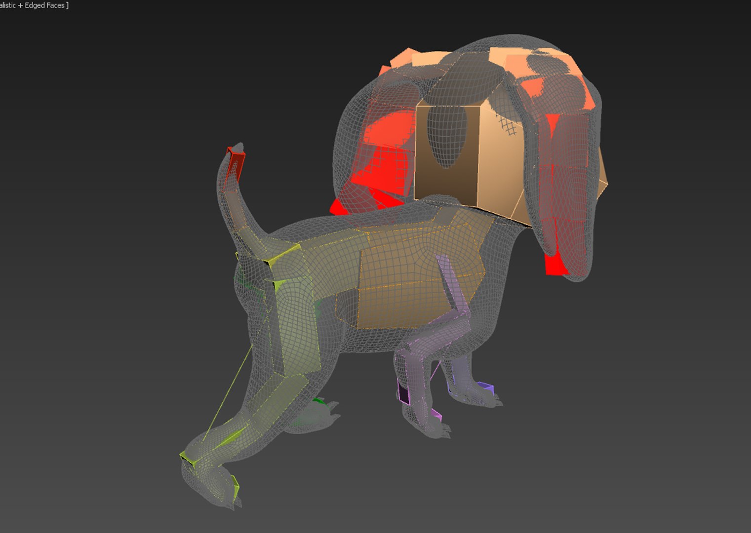 dog puppy rigging animation max