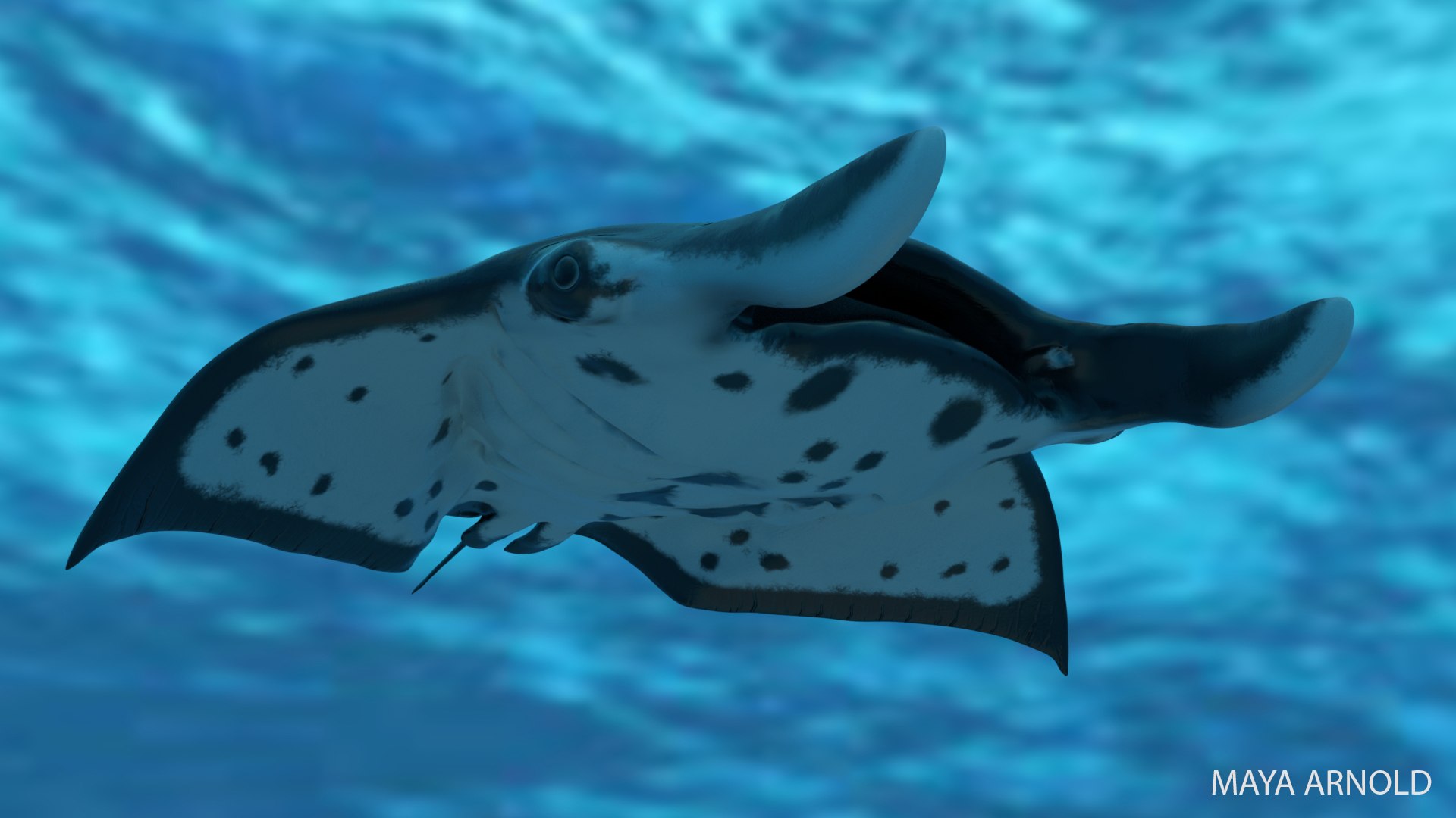 3D Manta Stingray Animations 6 - TurboSquid 1505677