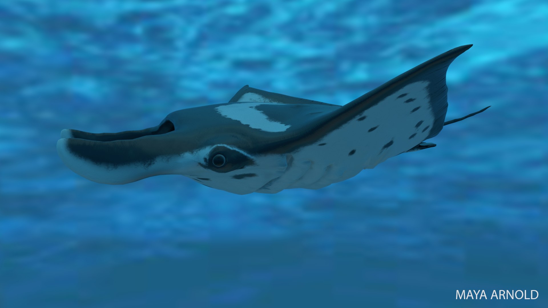 3D Manta Stingray Animations 6 - TurboSquid 1505677