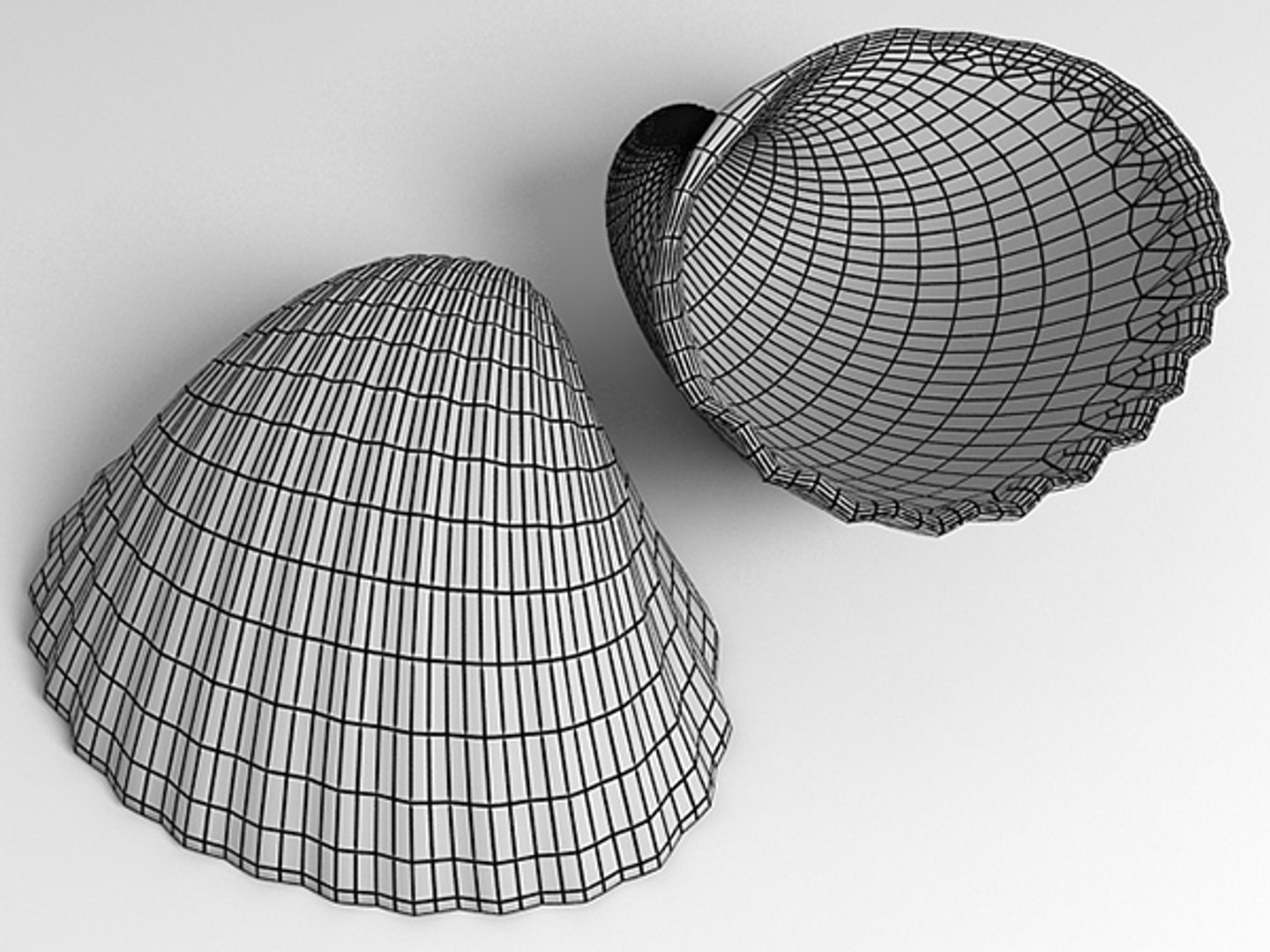 3d max ark cockle seashell