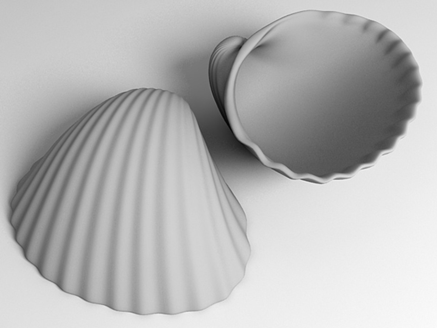 3d max ark cockle seashell
