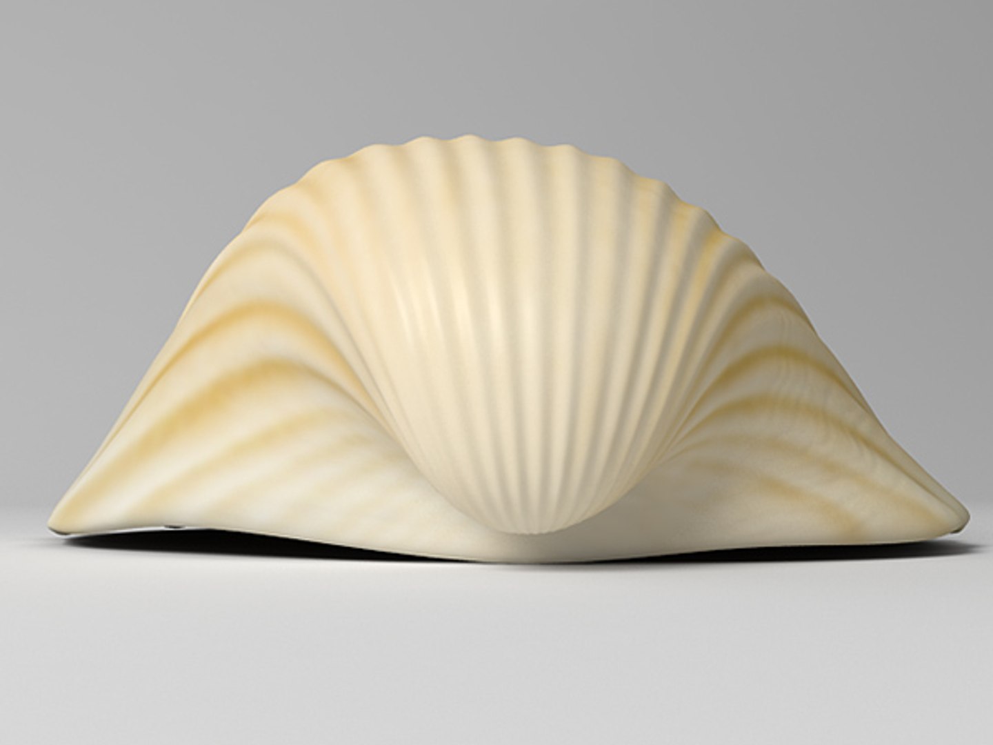 3d max ark cockle seashell