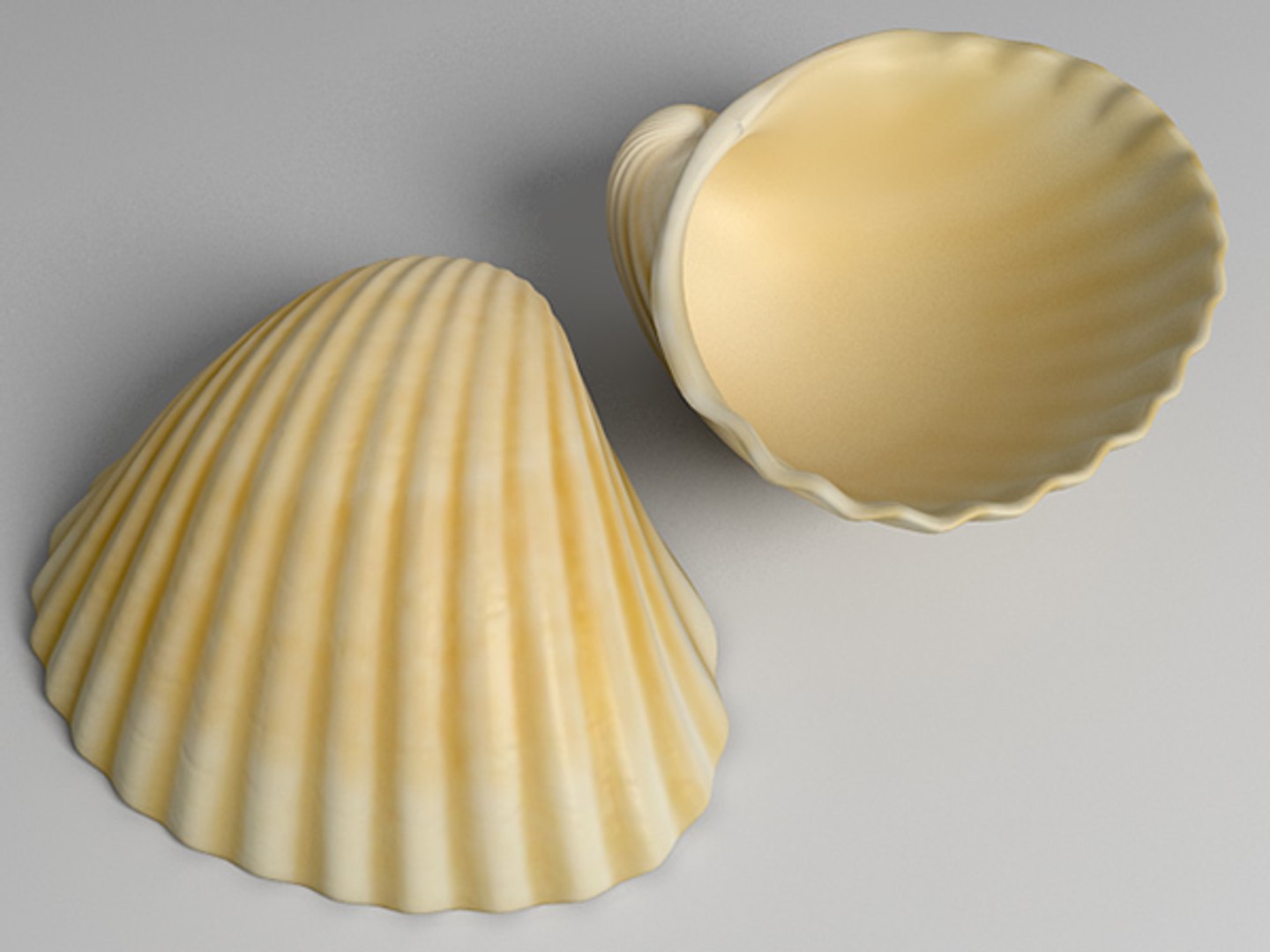 3d max ark cockle seashell
