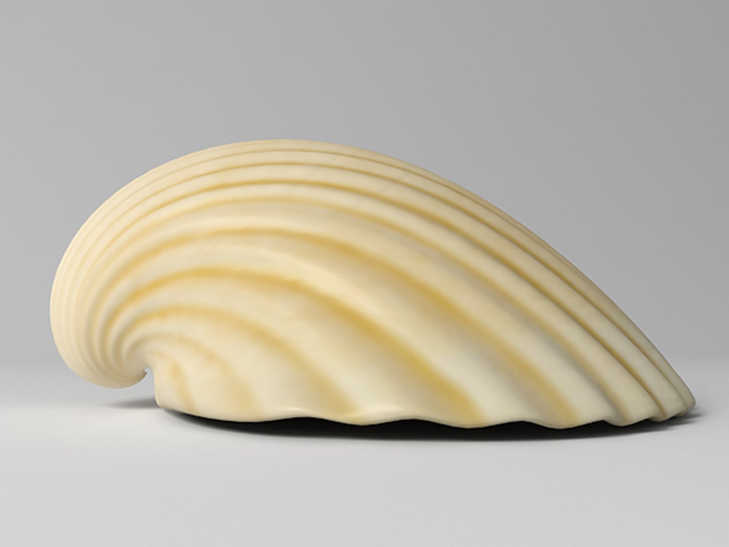 3d max ark cockle seashell
