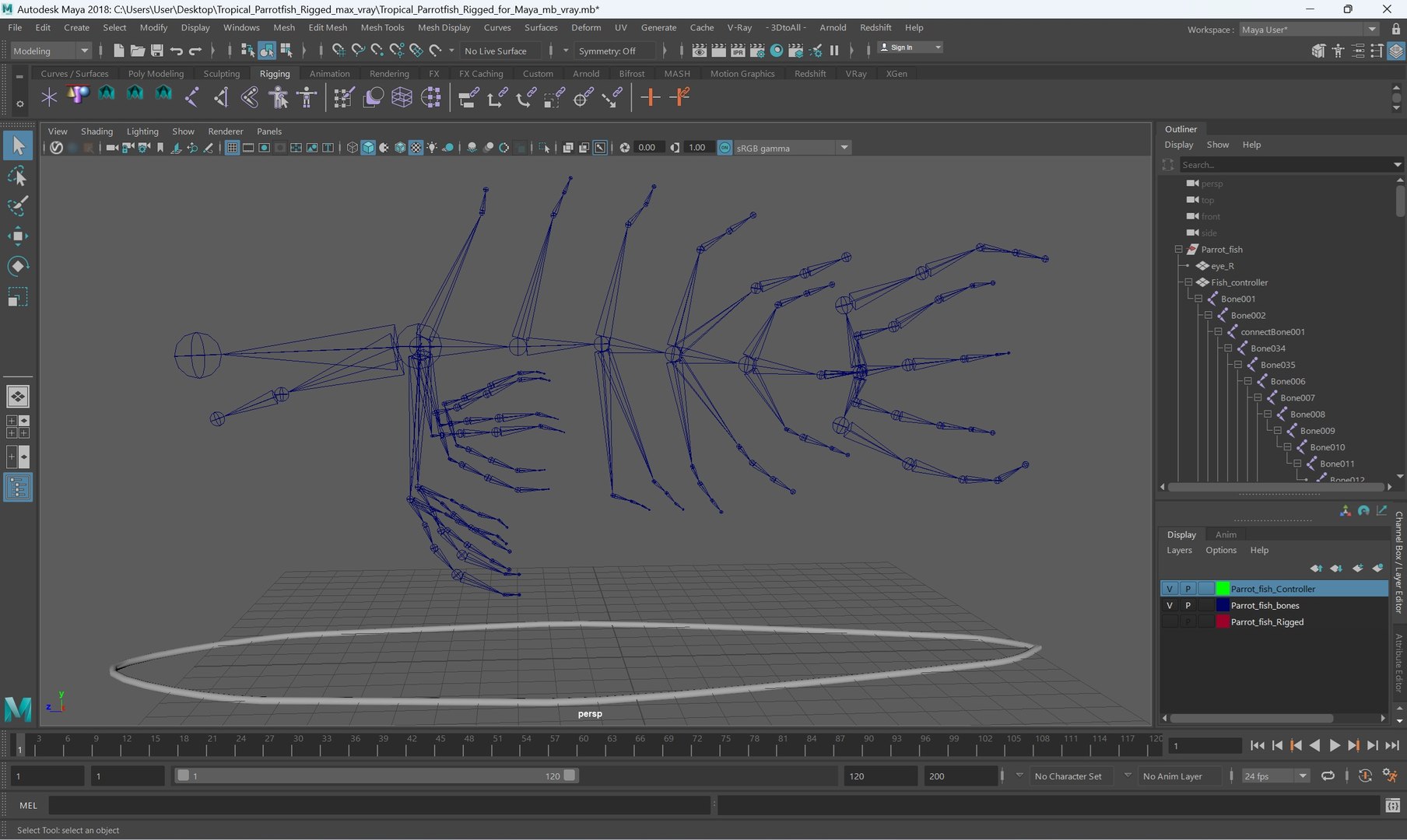 Tropical Parrotfish Rigged For Maya 3D Model - TurboSquid 2389980