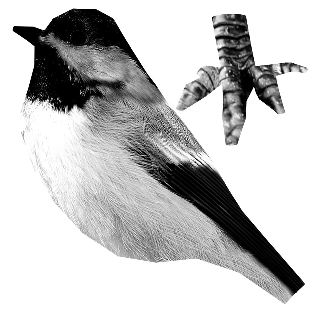 3d bird model