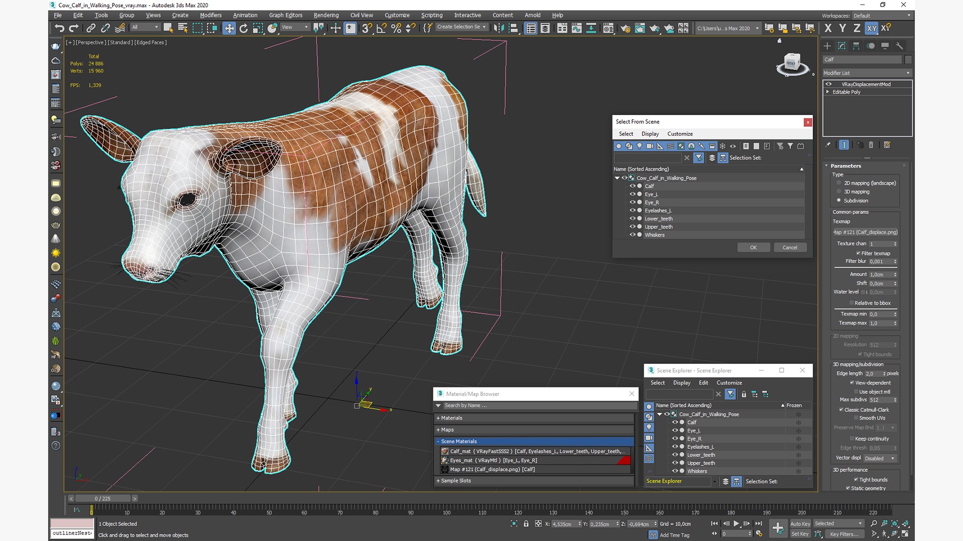 3D Cow Calf In Walking Pose - TurboSquid 2259031