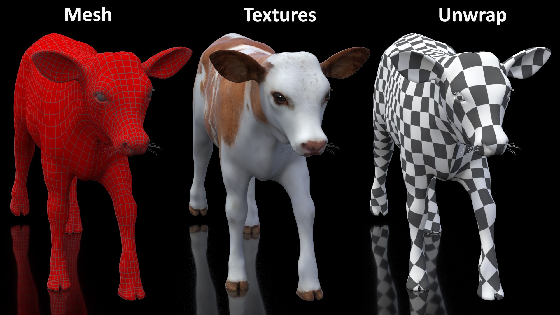 3D Cow Calf In Walking Pose - TurboSquid 2259031