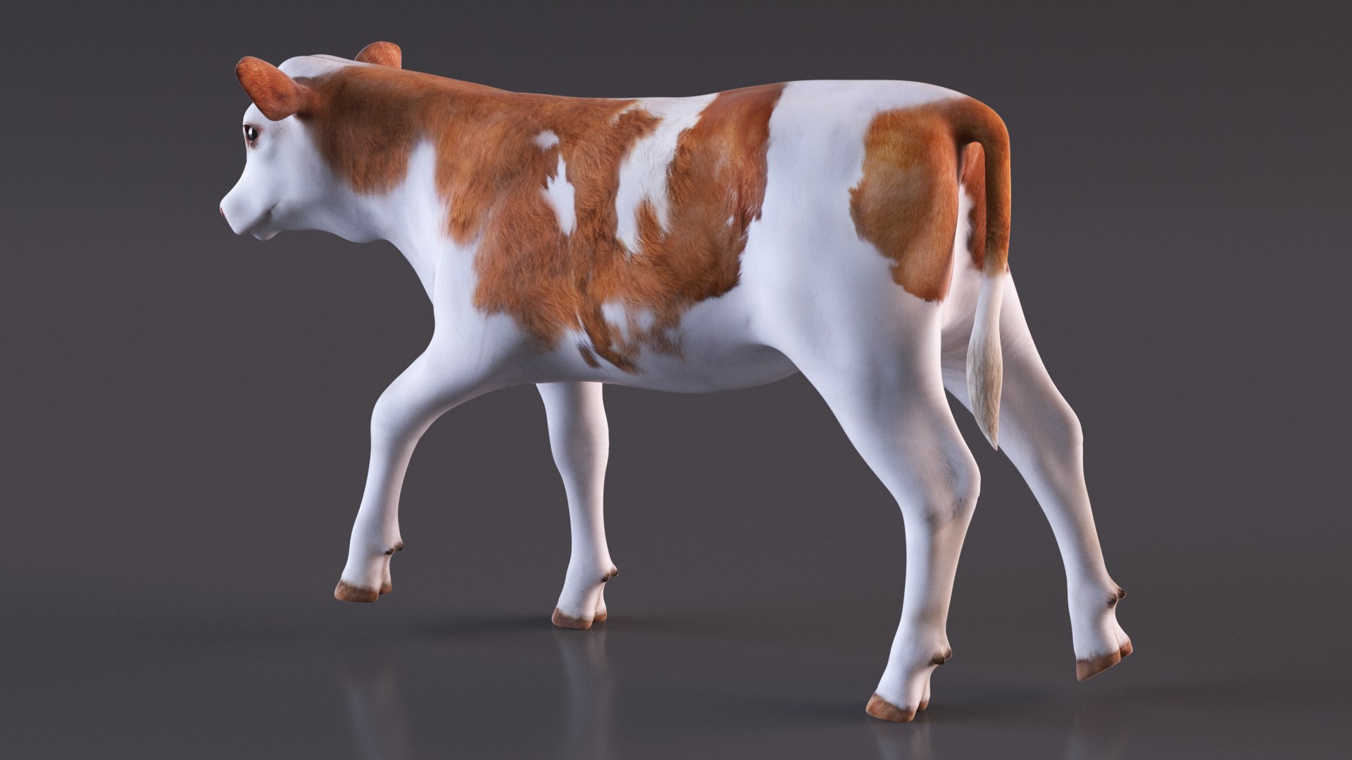3D Cow Calf In Walking Pose - TurboSquid 2259031
