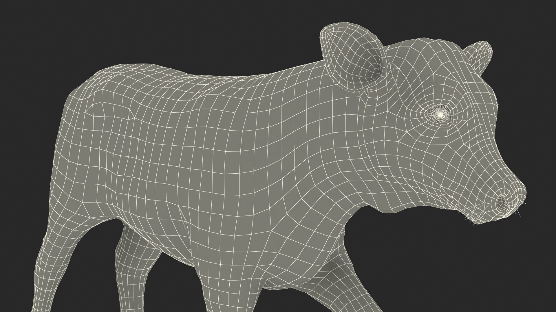3D Cow Calf In Walking Pose - TurboSquid 2259031
