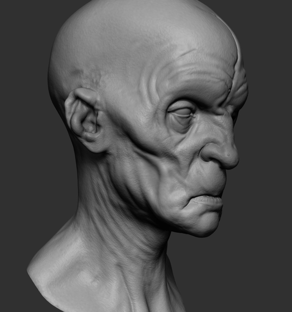 Creature head reference 3D model - TurboSquid 1412873