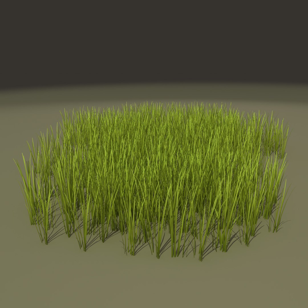 Grass 3d Max