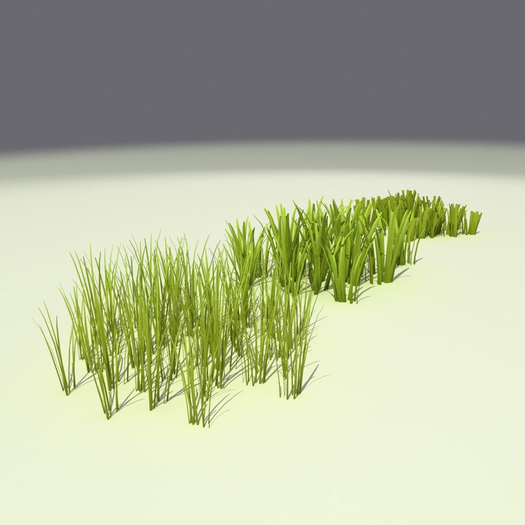 Grass 3d Max