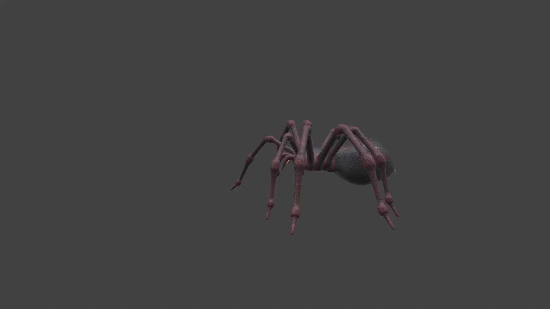 3D Spider Rigged Model - TurboSquid 1588332