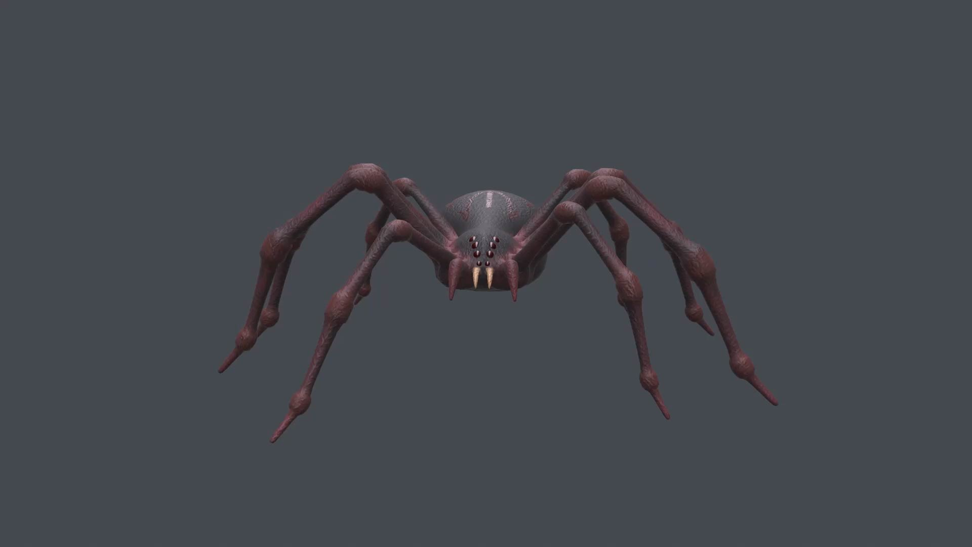 3D Spider Rigged Model - TurboSquid 1588332