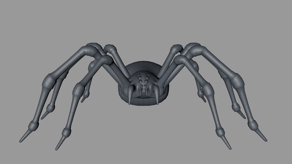modelo 3d Araña aparejada animada1 - TurboSquid 1588332
