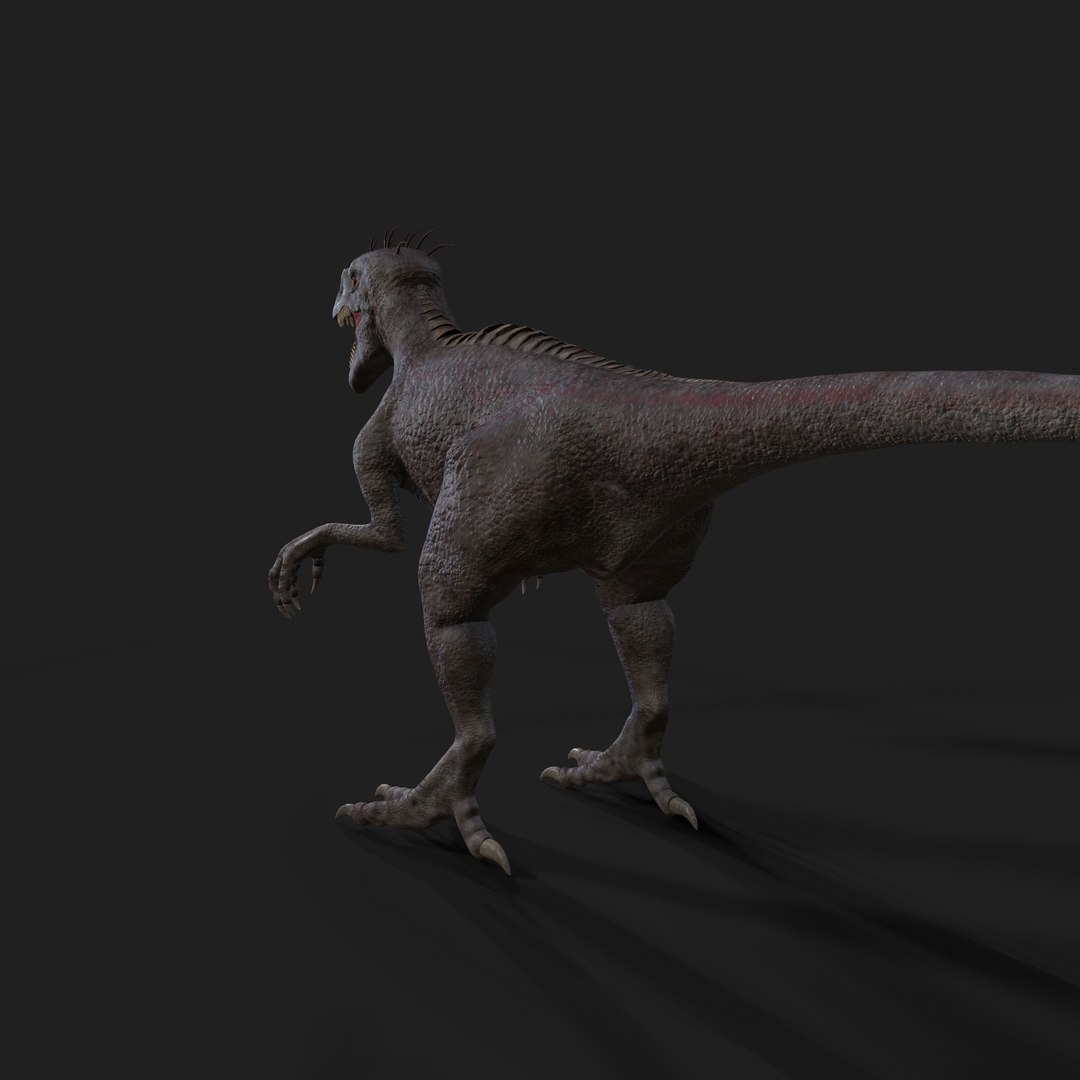 3D Dinosaurs Velociraptor Hybrid 3D Model Model - TurboSquid 1792143