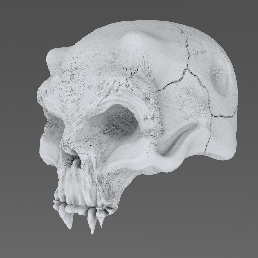 3D Model Concepts Creature Skull - TurboSquid 1591891