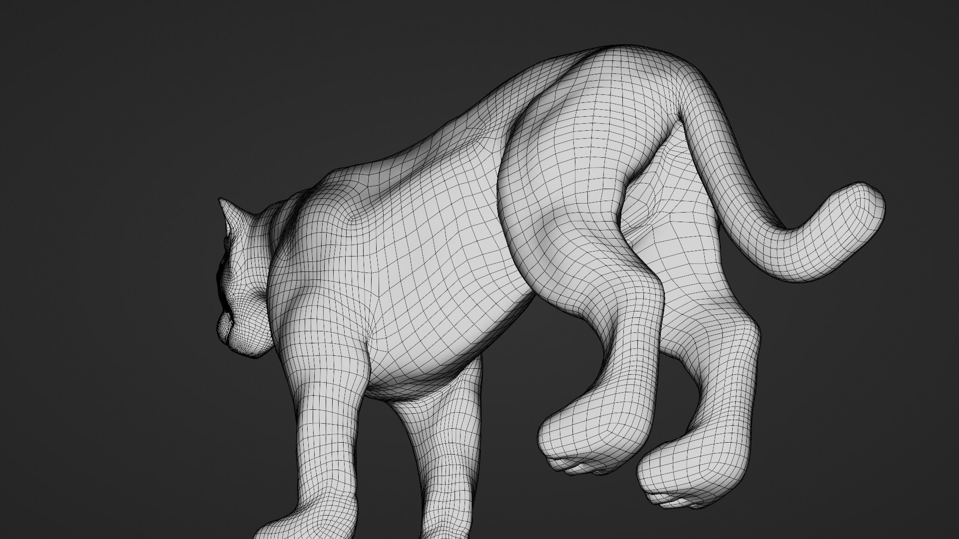 3D Puma Model - TurboSquid 2034425
