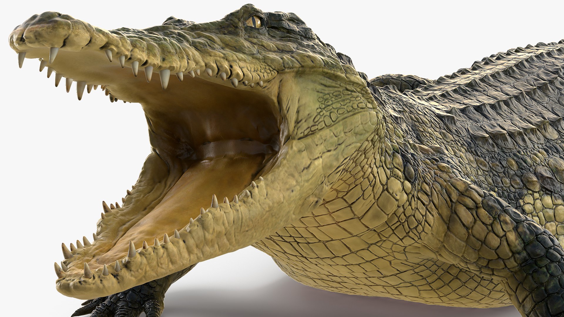 Crocodile Eating Animal Rigged Model - TurboSquid 1447338