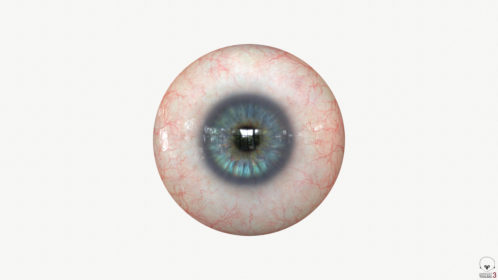 3D Model Eye Blue 3 Real-time 3D Model 4k Texture Marmoset Toolbag3 ...