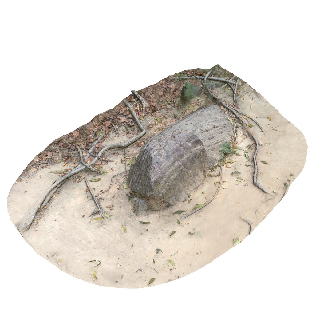 3d Jungle Rock Ground 8k