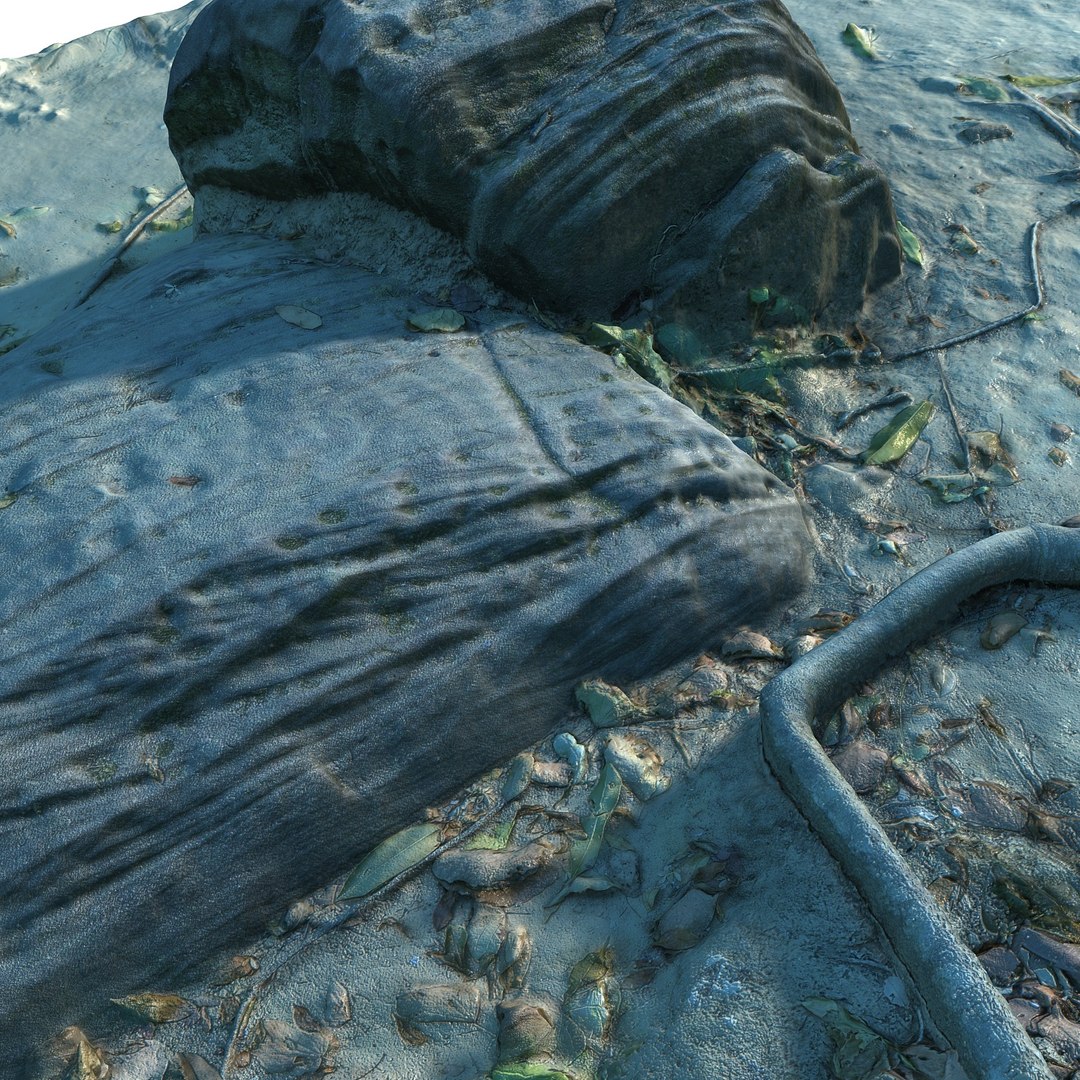 3d Jungle Rock Ground 8k