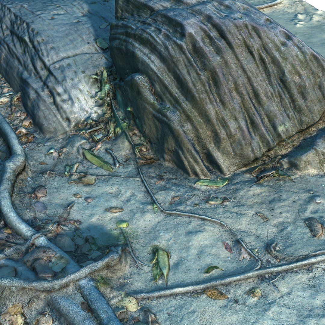 3d Jungle Rock Ground 8k