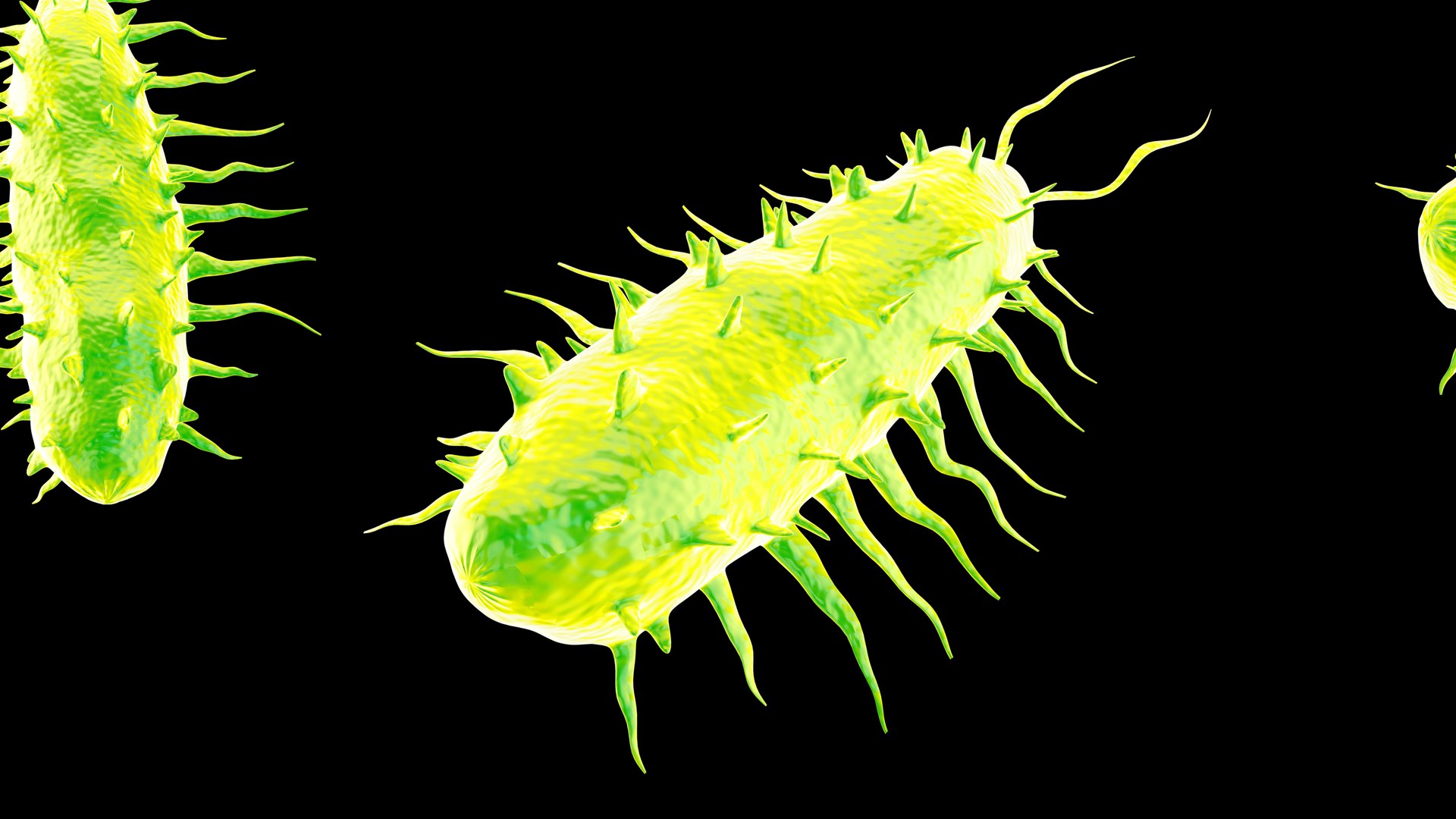 3D Model Salmonella - TurboSquid 2223756