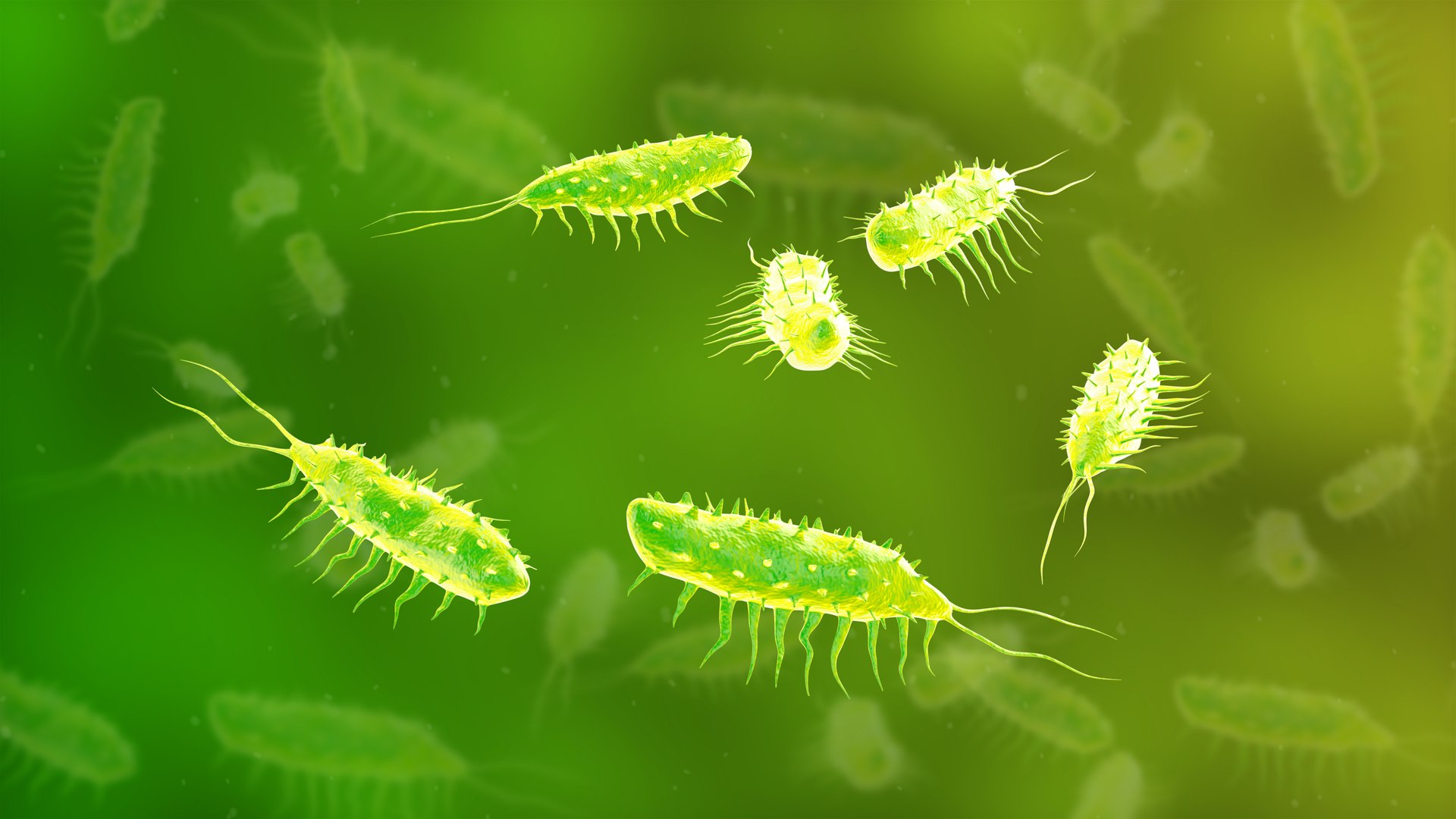 3D Model Salmonella - TurboSquid 2223756