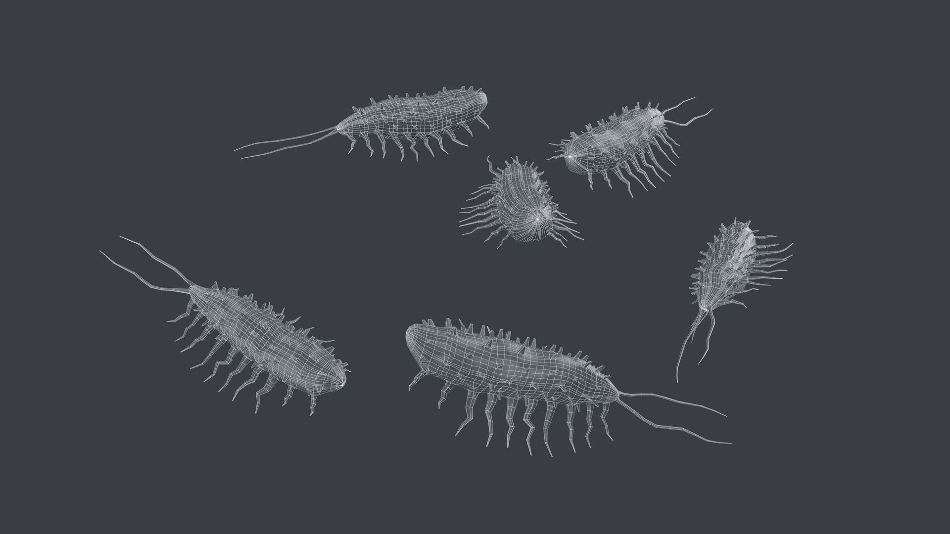 3D Model Salmonella - TurboSquid 2223756