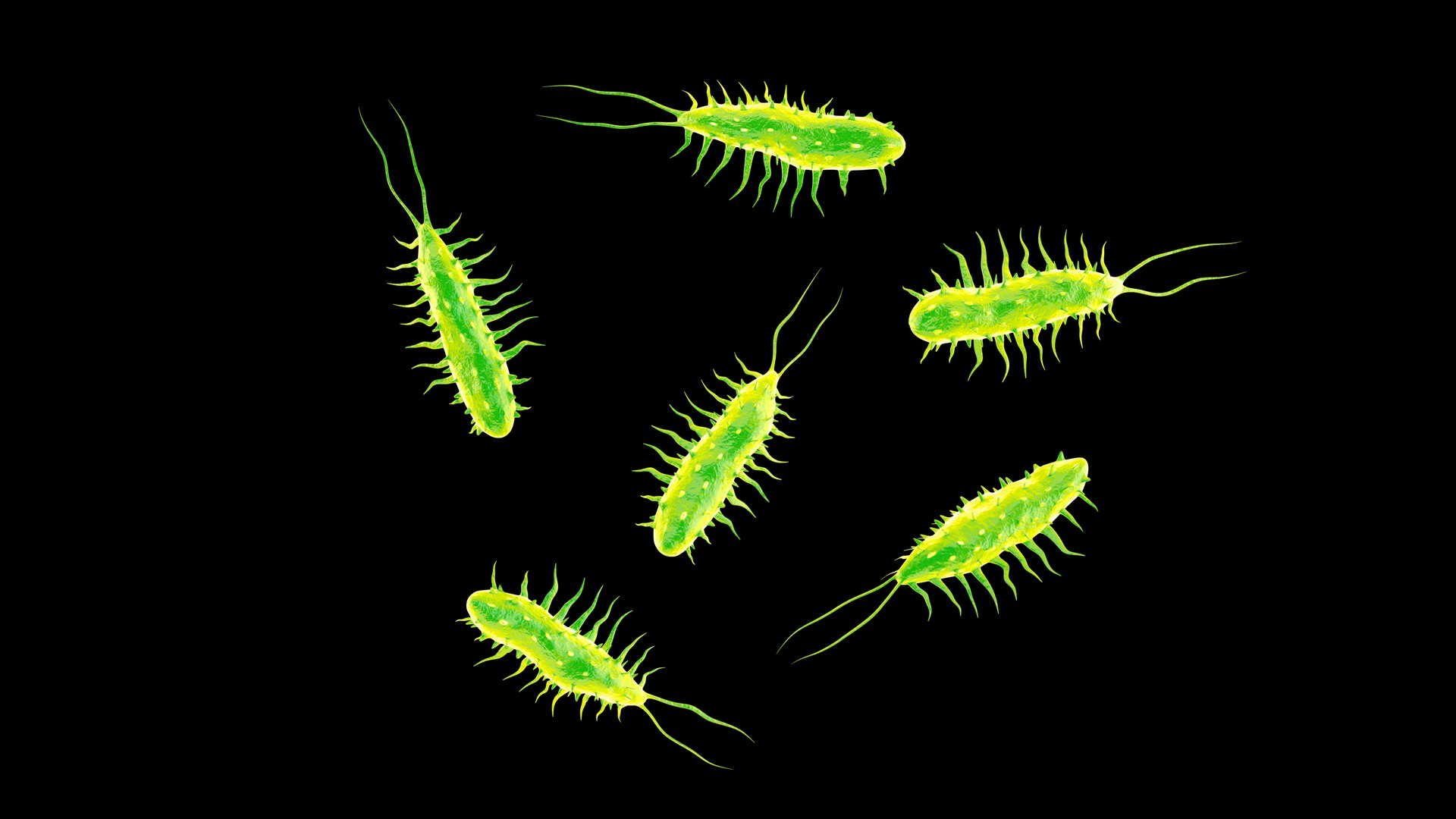 3D Model Salmonella - TurboSquid 2223756