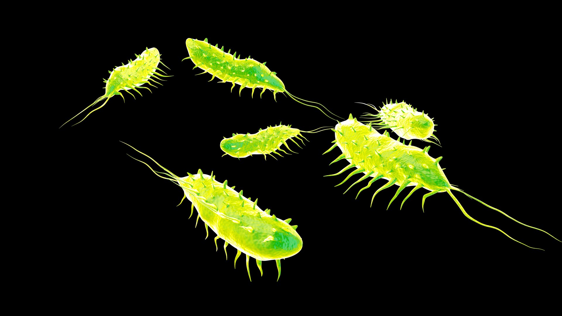 3D Model Salmonella - TurboSquid 2223756