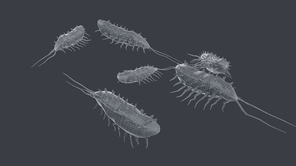 modelo 3d Salmonela - TurboSquid 2223756