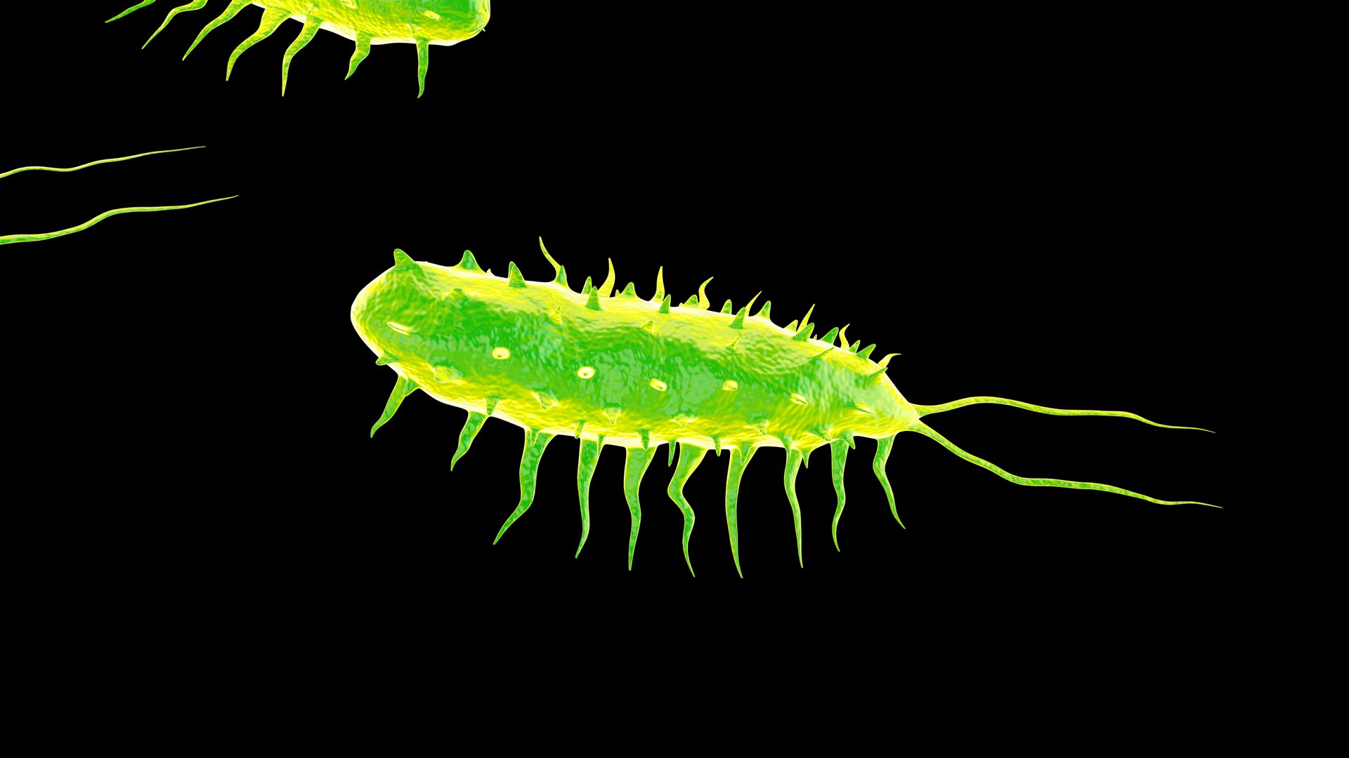 3D Model Salmonella - TurboSquid 2223756