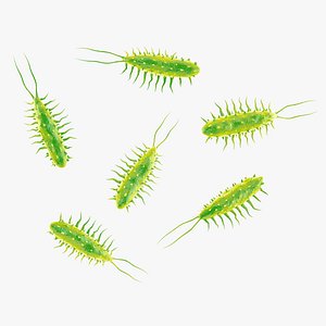 3D Salmonella Models - Browse & Download Formats - TurboSquid
