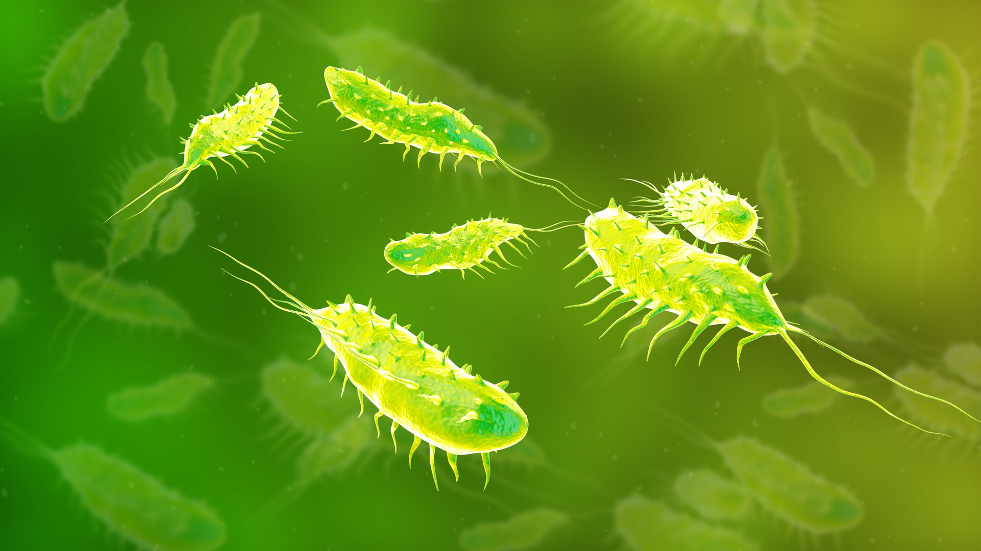 3D Model Salmonella - TurboSquid 2223756