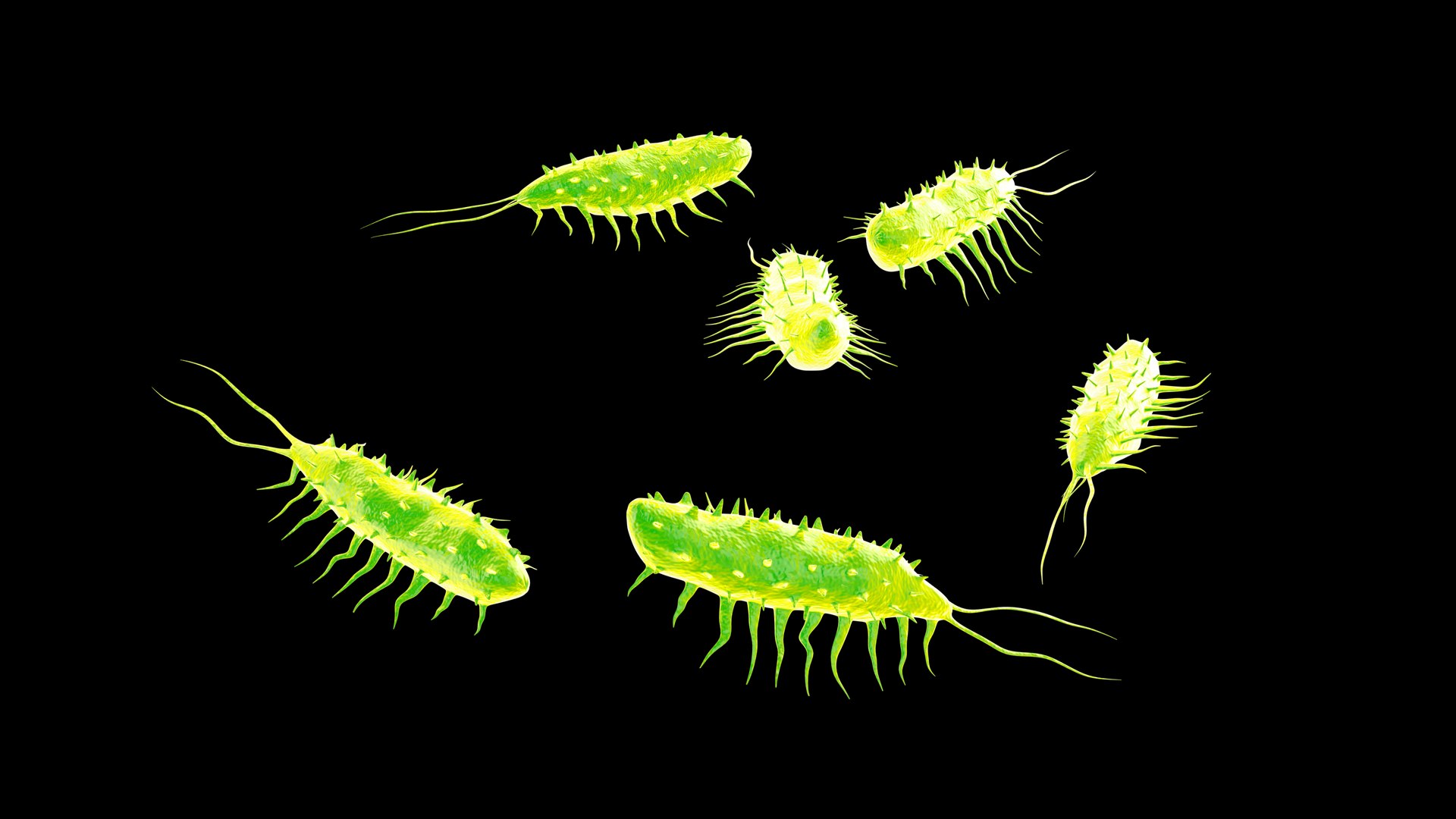 3D Model Salmonella - TurboSquid 2223756