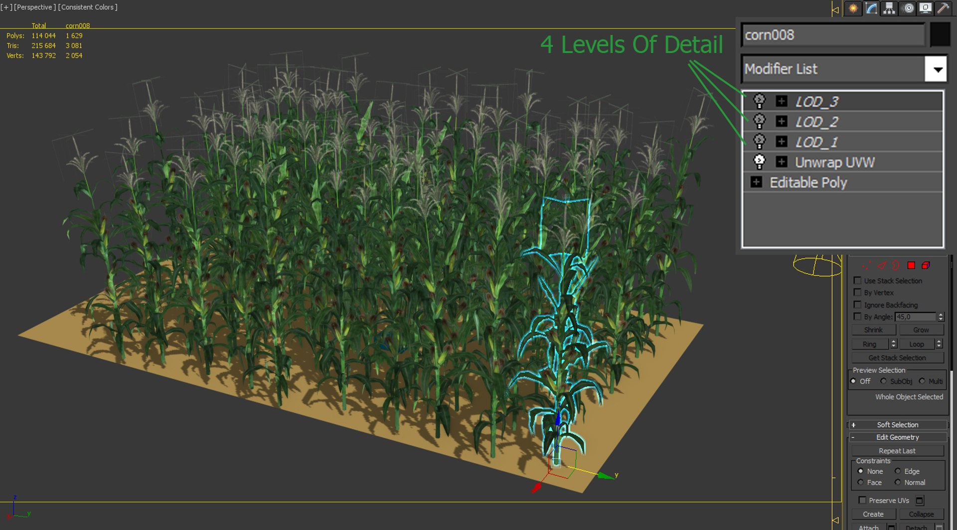 3d Max Corn Field