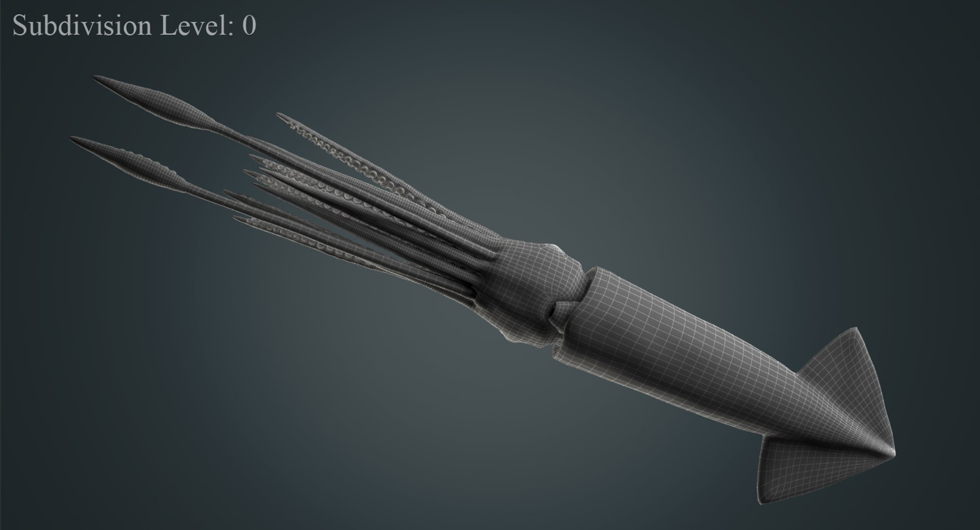 3D Squid Rigged - TurboSquid 1178827