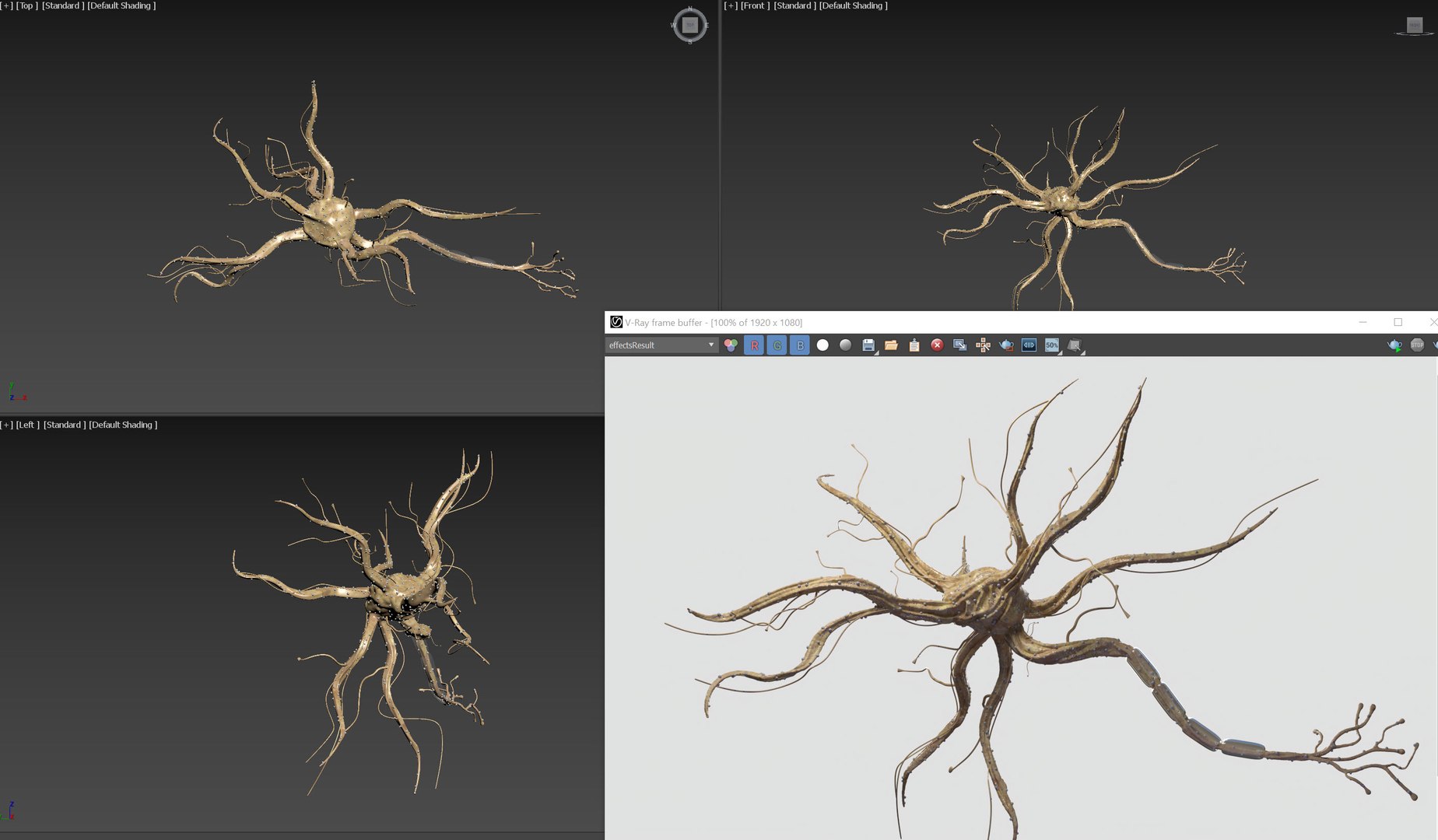 3D Nerve Cell - TurboSquid 1963109